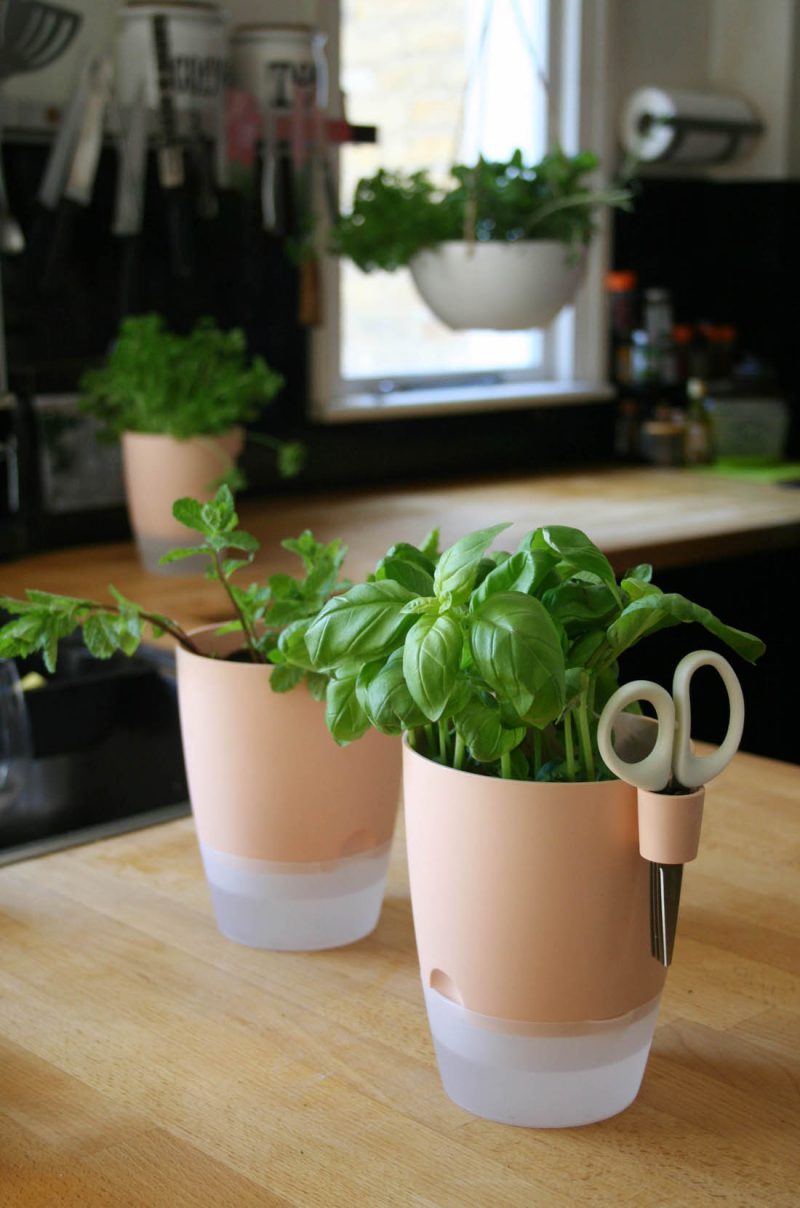 Green fingers with Homesense this Spring – Apartment Apothecary